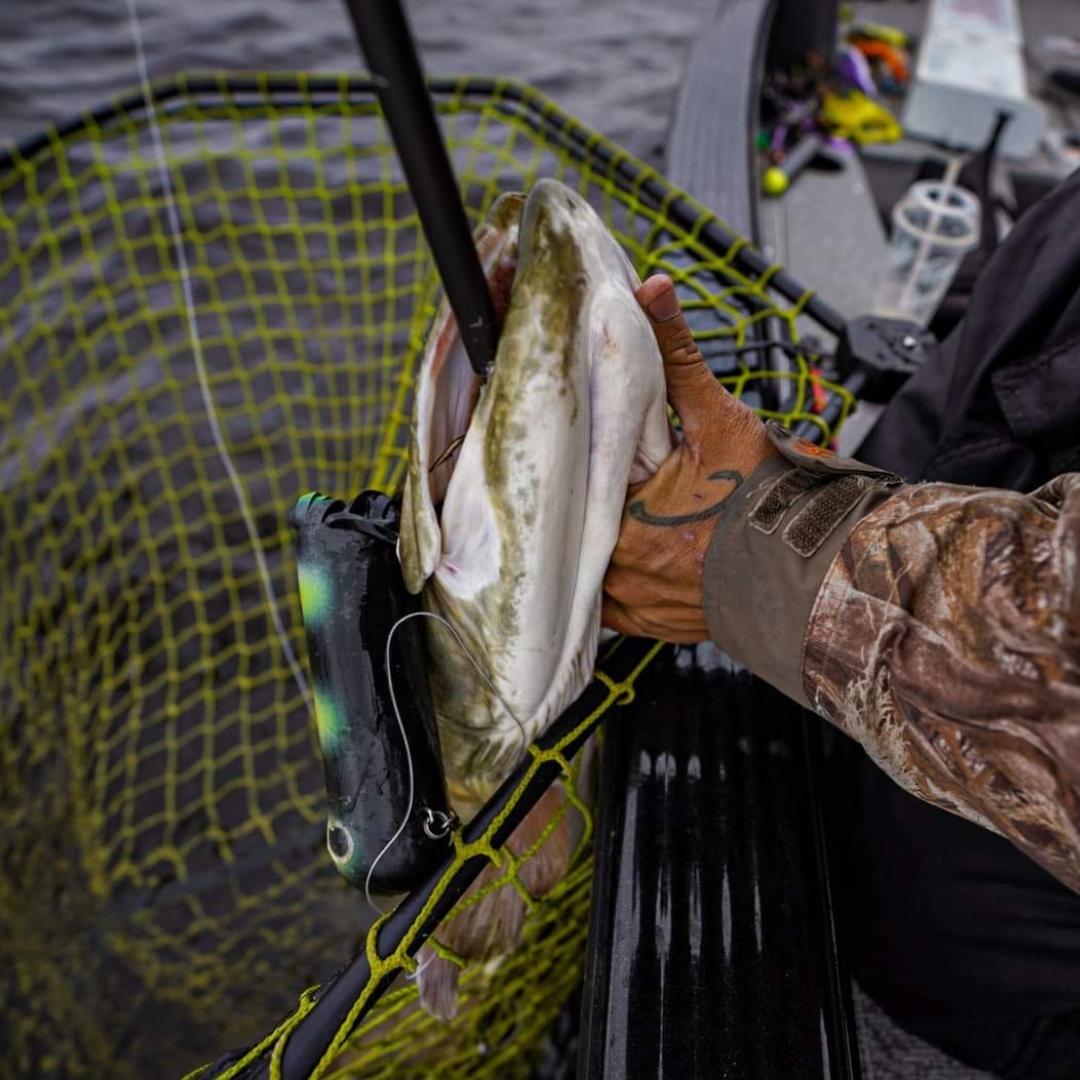 Musky & Pike – Tagged "Solid Wire Leaders" – Figure 8 - Musky Shop